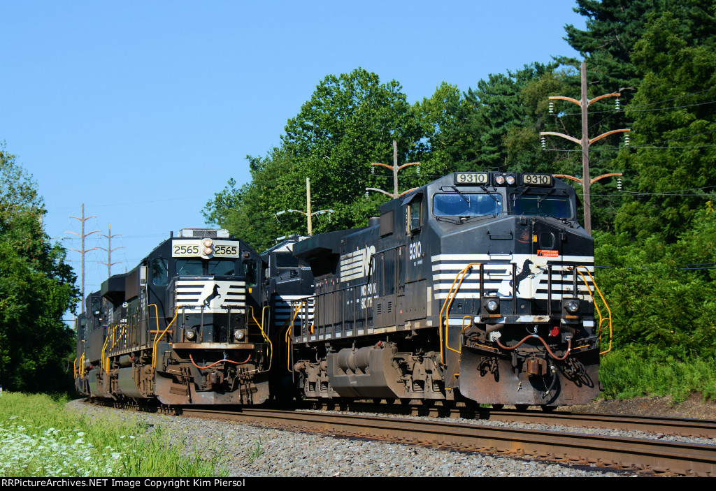 NS 2565 9310 24K on Track 2 Passing 20E